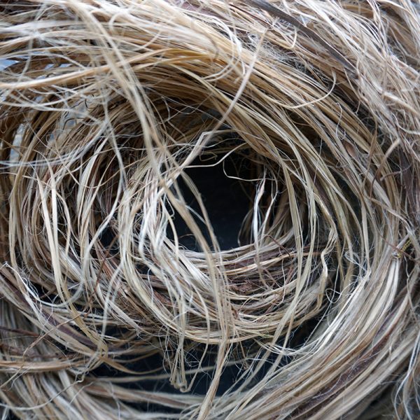 Ramie – SUMMERWOOD Textiles